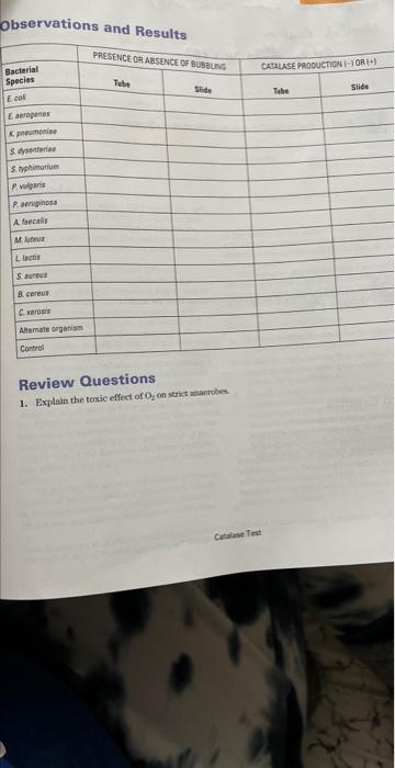Solved Observations and Resulte Review Questions 1. Explain | Chegg.com