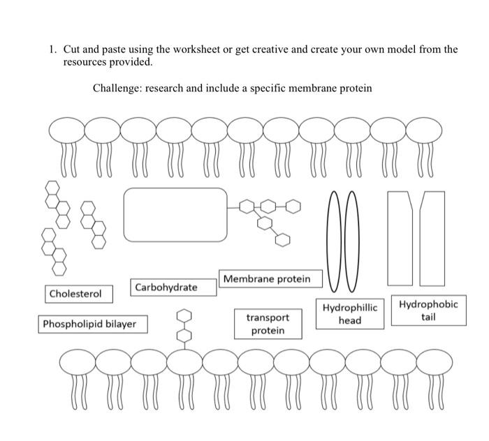 Solved 1. Cut and paste using the worksheet or get creative | Chegg.com