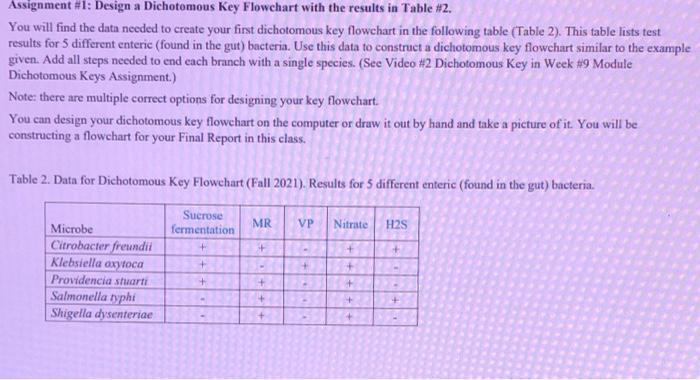Solved Assignment #1: Design a Dichotomous Key Flowchart | Chegg.com