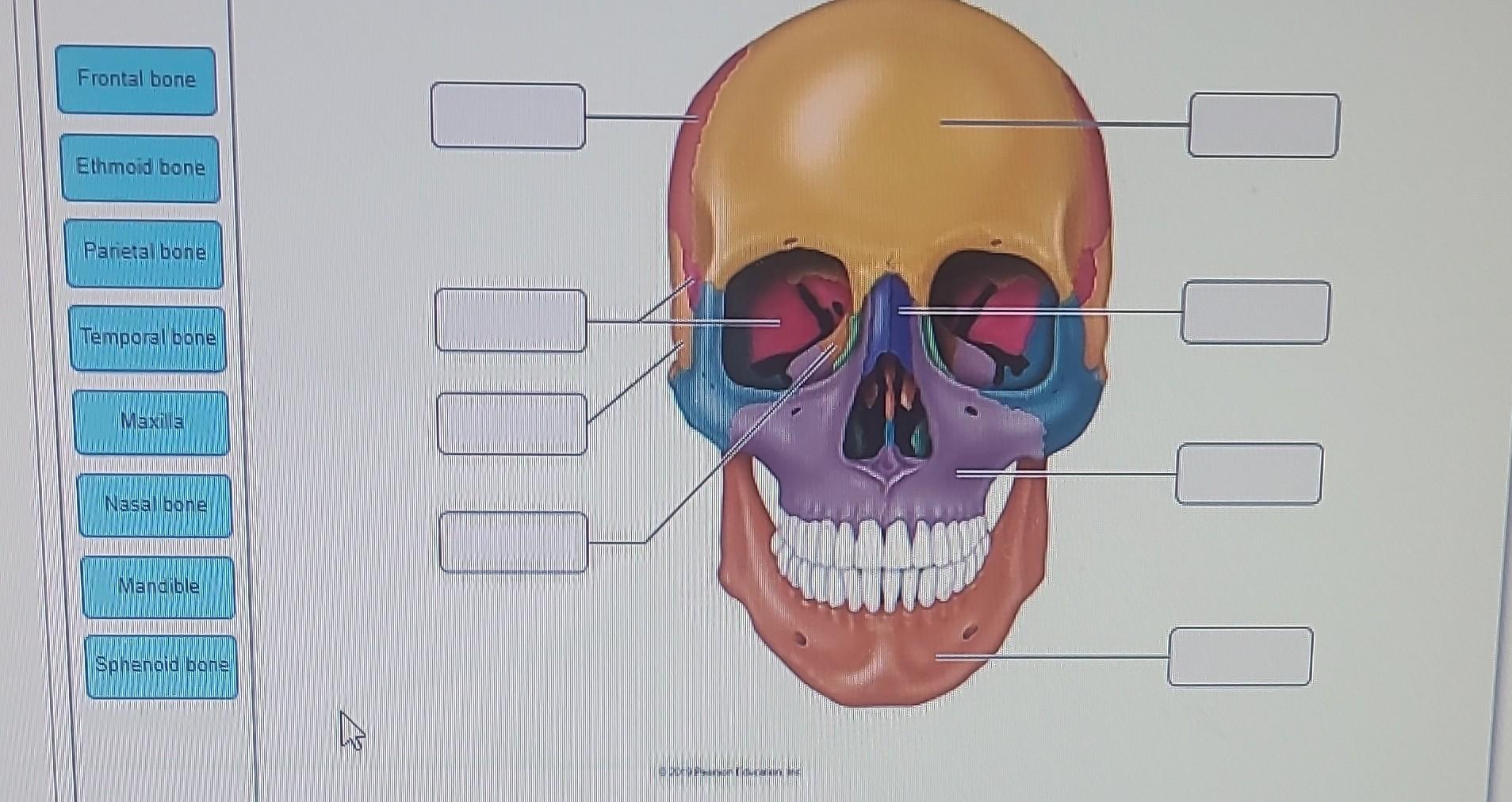 Solved help label | Chegg.com