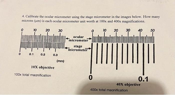 Solved Using this given eyepicce micrometer and stage | Chegg.com