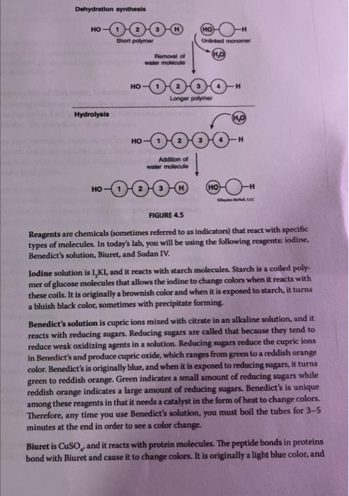 Solved BIologically important Molecules The purpose of | Chegg.com