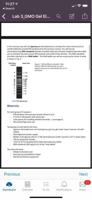 Worksheet: Lab #3: GMB Gel Electrophoresis 1. Draw | Chegg.com