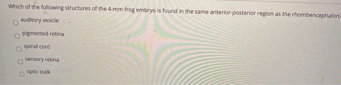 Solved Which of the following structures of the 4- mm frog | Chegg.com