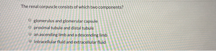 Solved The renal corpuscle consists of which two components? | Chegg.com