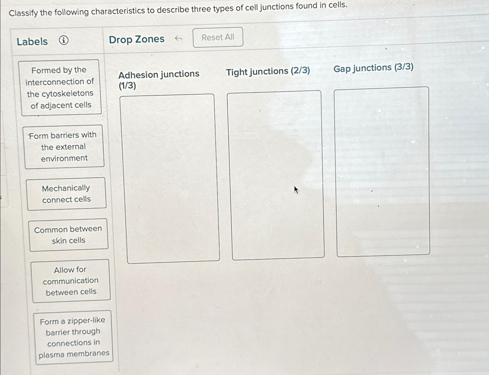 Solved Classify the following characteristics to describe | Chegg.com