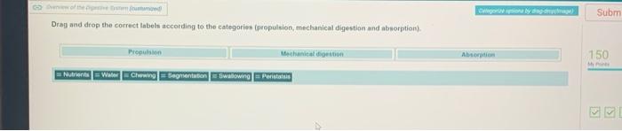 Solved Subm Drag and drop the correct labels according to | Chegg.com