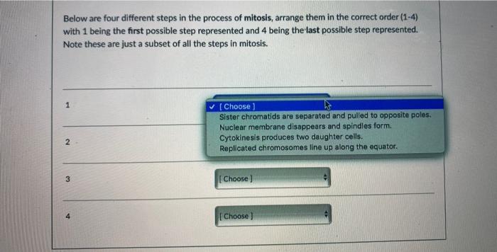 Solved Below are four different steps in the process of | Chegg.com