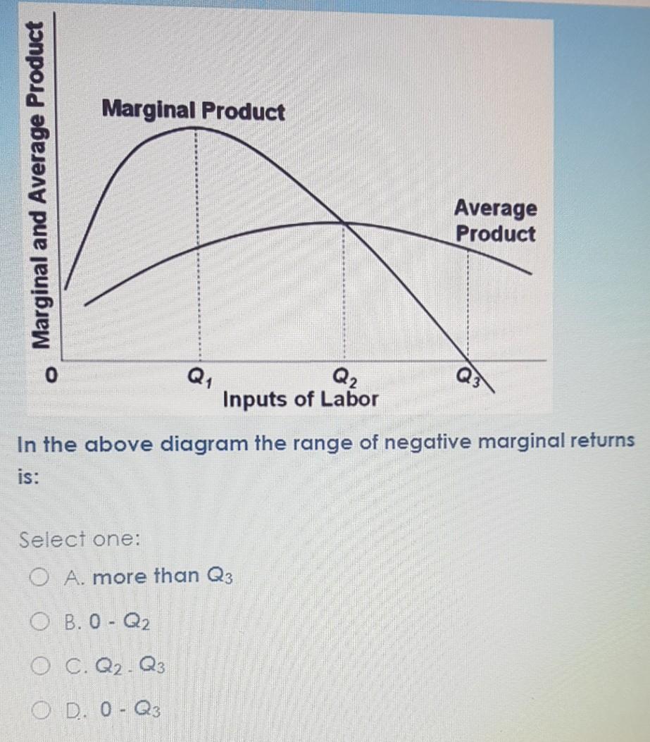 Solved Marginal Product Marginal and Average Product Average | Chegg.com