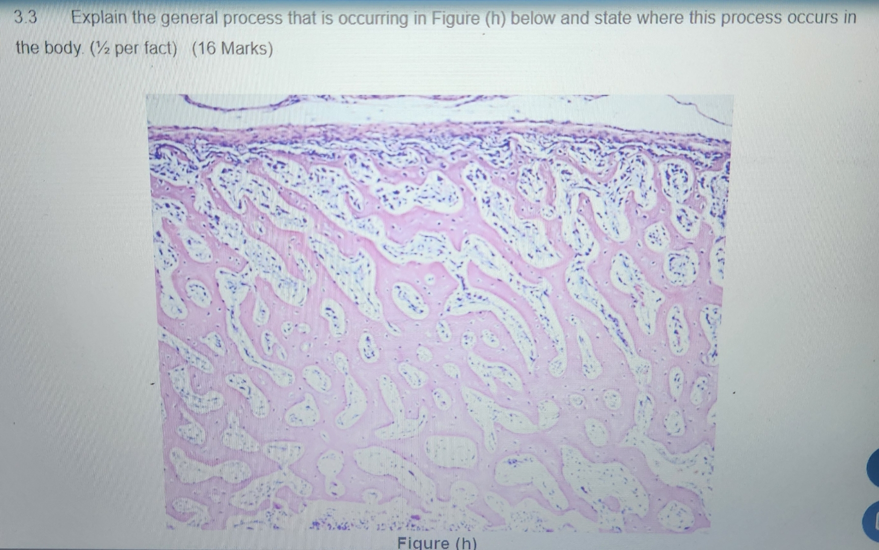 Solved 3.3 ﻿Explain the general process that is occurring in | Chegg.com
