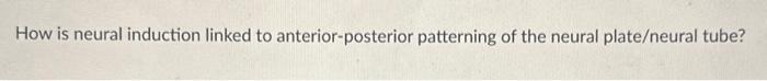 Solved How is neural induction linked to anterior-posterior | Chegg.com