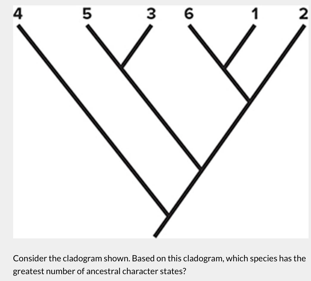 Solved Consider the cladogram shown. Based on this | Chegg.com