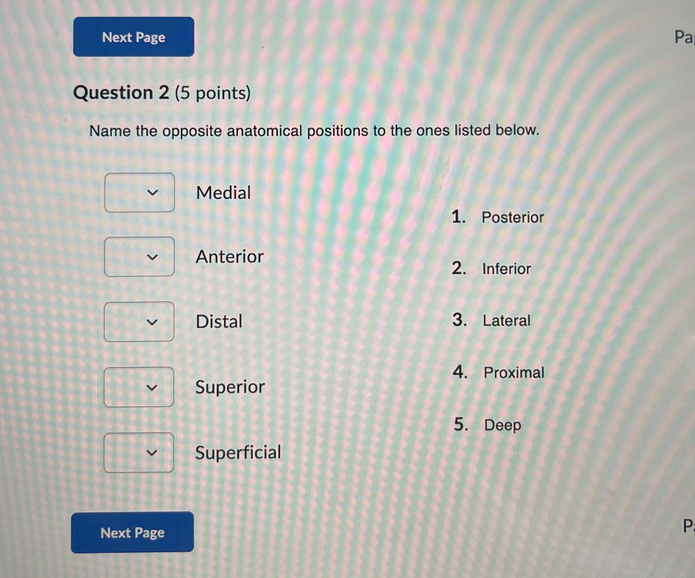 Solved Question 2 (5 ﻿points)Name the opposite anatomical | Chegg.com