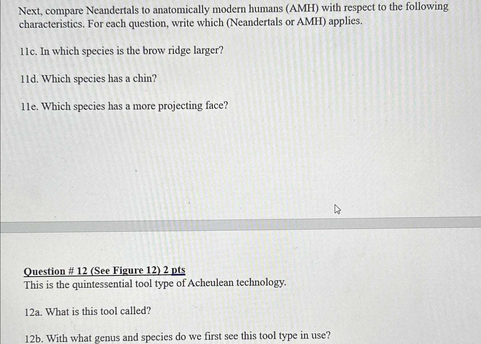 Solved Next, compare Neandertals to anatomically modern | Chegg.com