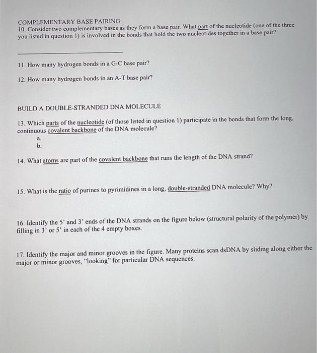 COMPLEMENTARY BASE PAIRING 10. Consider two | Chegg.com