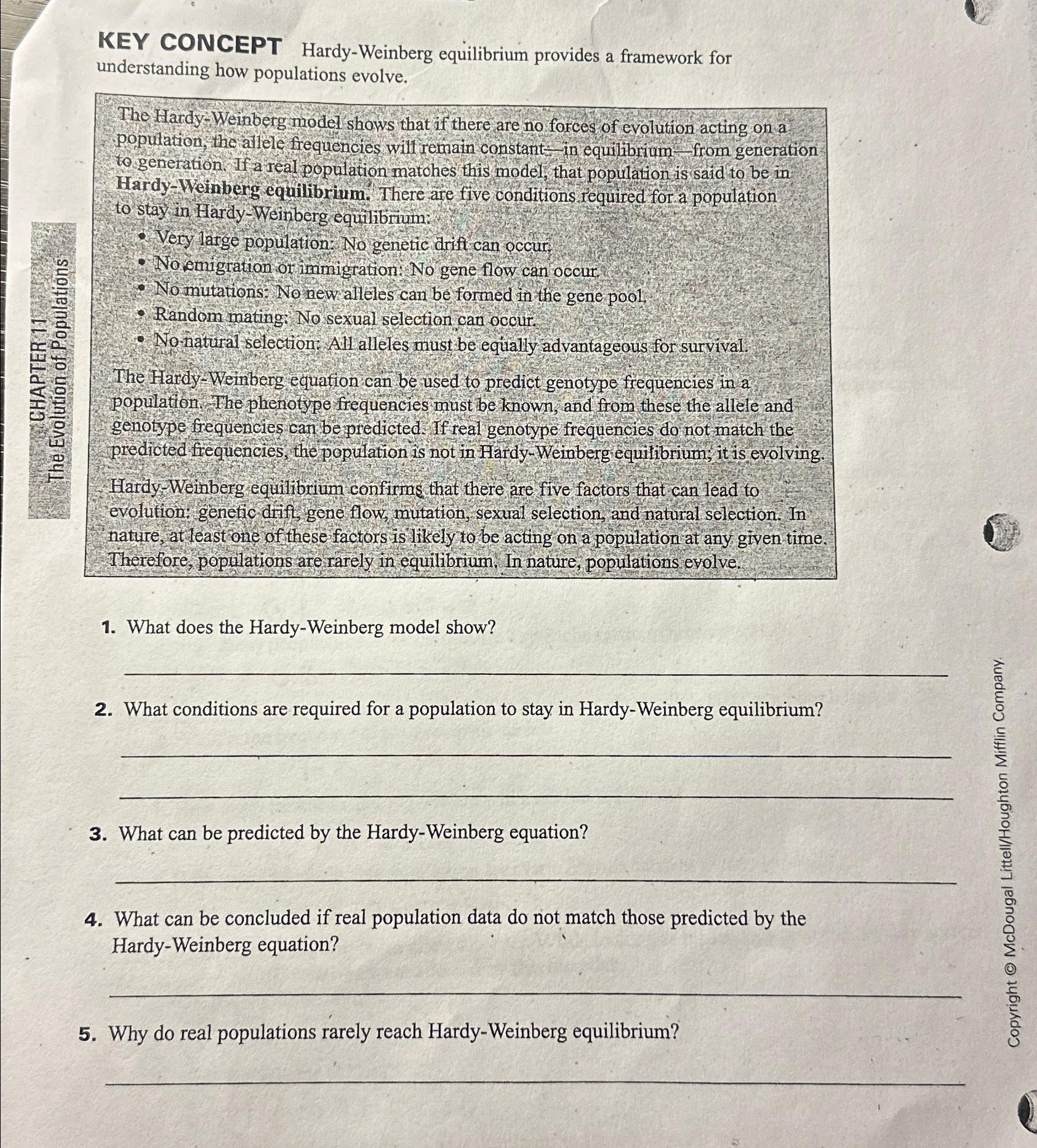 Solved KEY CONCEPT Hardy-Weinberg equilibrium provides a | Chegg.com