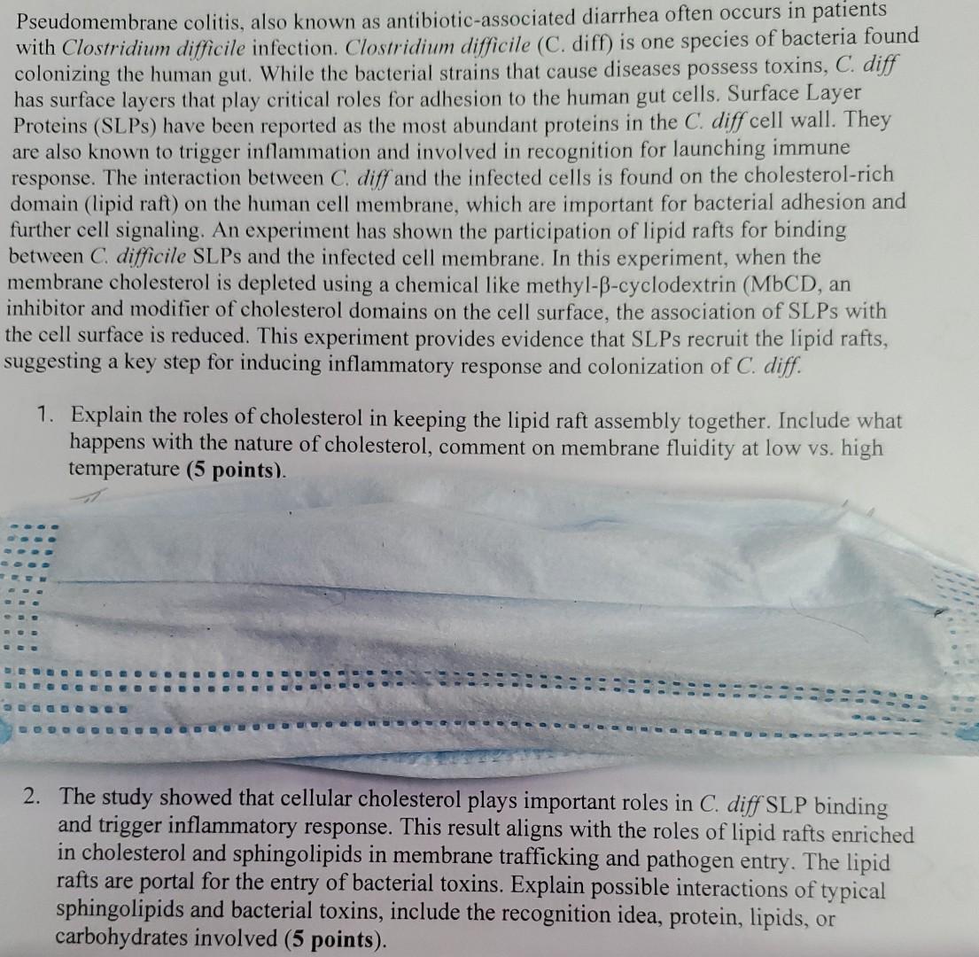 Solved Pseudomembrane colitis, also known as | Chegg.com