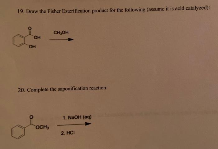 Solved 19. Draw the Fisher Esterification product for the | Chegg.com