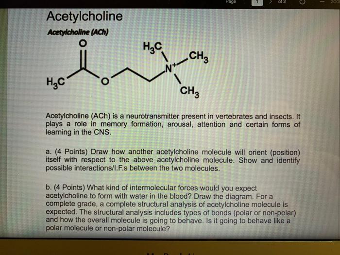 Solved Page ol 2 - Acetylcholine Acetylcholine (ACh) O H2C | Chegg.com