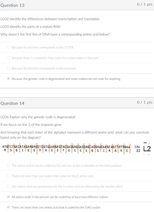 Solved LO32 Identify the differences between transcription | Chegg.com