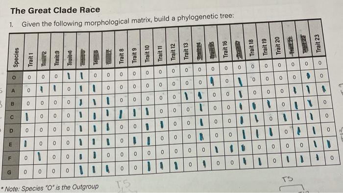 The Great Clade Race 1. Given the following | Chegg.com