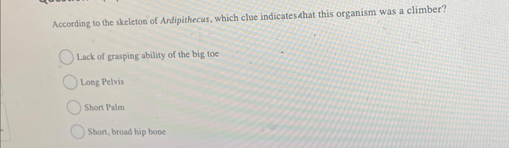 Solved According to the skeleton of Ardipithecus, which clue | Chegg.com