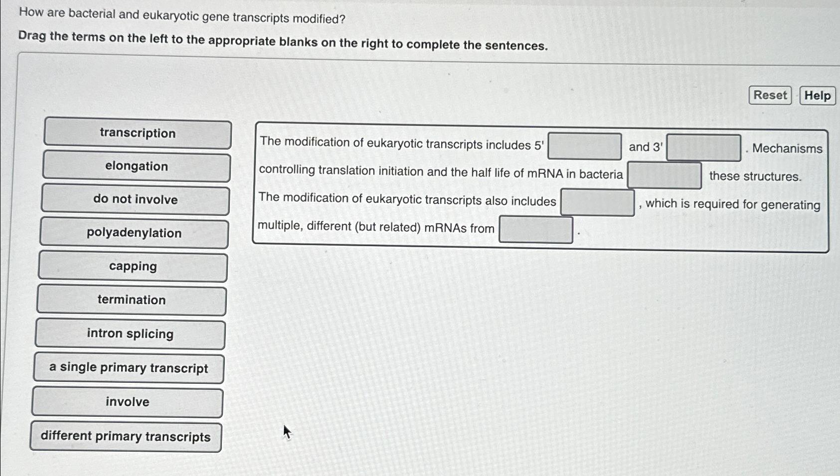 Solved How are bacterial and eukaryotic gene transcripts | Chegg.com
