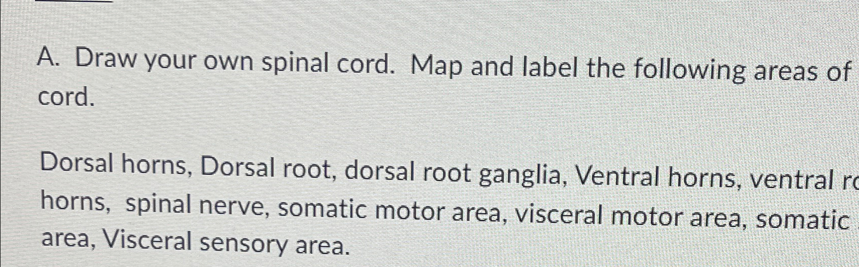 Solved A. ﻿Draw your own spinal cord. Map and label the | Chegg.com