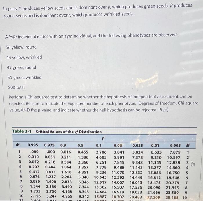 In peas, y produces yellow seeds and is dominant over | Chegg.com
