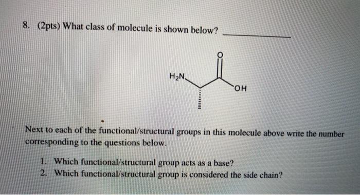 Solved 8. (2pts) What class of molecule is shown below? H2N | Chegg.com