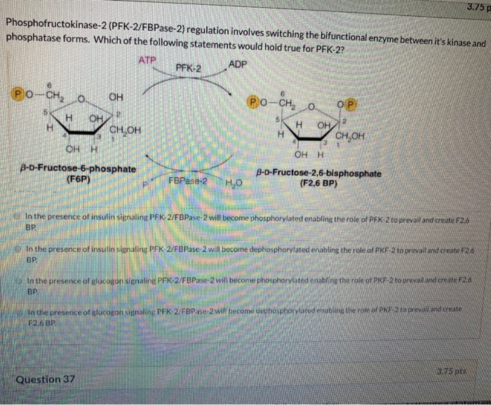 Solved 3.75 p Phosphofructokinase-2 (PFK-2/FBPase-2) | Chegg.com
