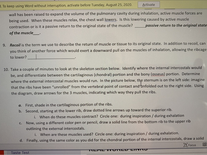 To keep using Word without interruption, activate | Chegg.com
