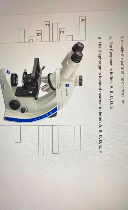 Solved 3. Identify the parts of the microscope: A. The | Chegg.com