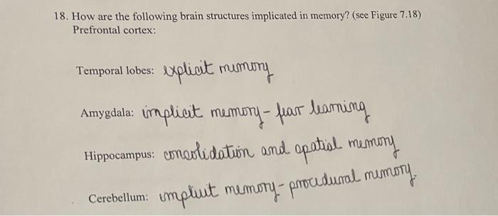 Solved 18. How are the following brain structures implicated | Chegg.com