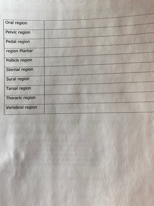 Solved REGIONAL TERMS Regional Terms Definition Abdominal | Chegg.com