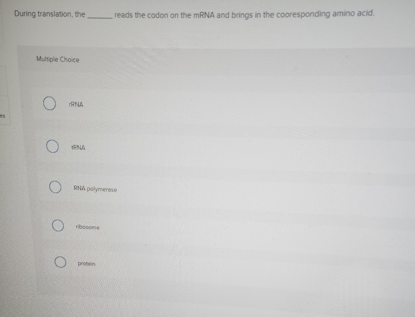 Solved During translation, the reads the codon on the mRNA | Chegg.com
