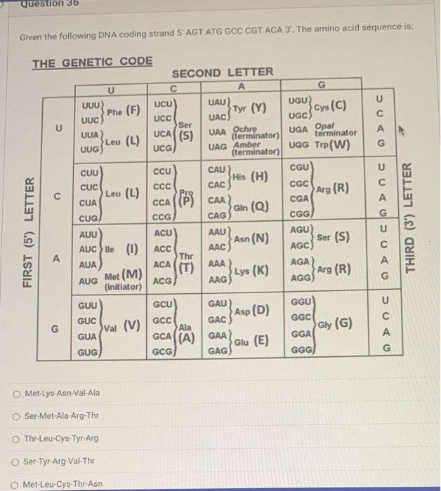 Solved Met-Lys-Asn-Val-Ala Ser-Met-Ala-Arg-Thr | Chegg.com