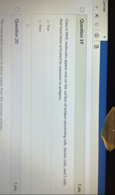 Solved CanvasQuestion 191 ﻿ptsClass II MHC molecules appear | Chegg.com