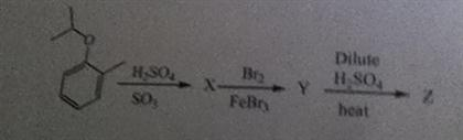 Solved H2SO4 SO3 X Br2 FeBr3 Y Dilute H2SO4 heat Z | Chegg.com
