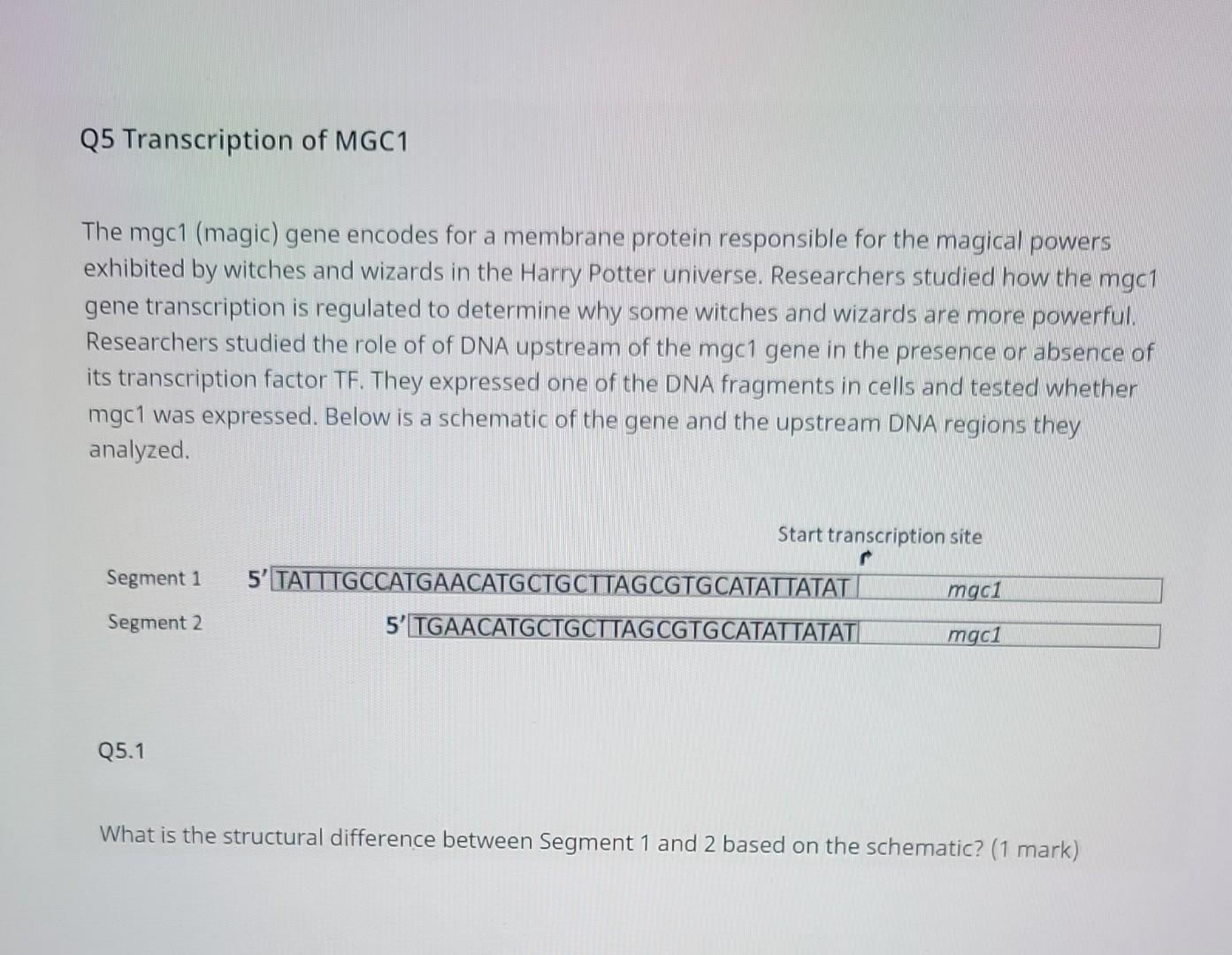 Solved The mgc1 (magic) gene encodes for a membrane protein | Chegg.com