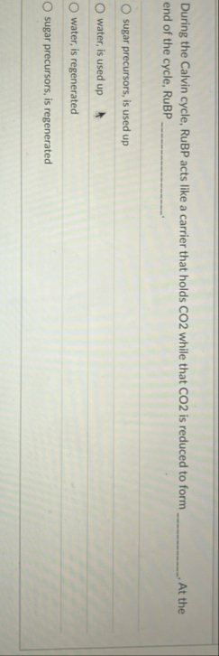 Solved During the Calvin cycle, RuBP acts like a carrier | Chegg.com