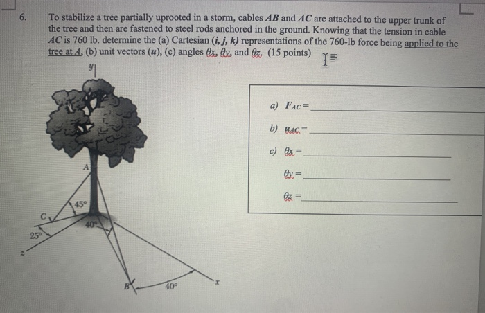 Solved To stabilize a tree partially uprooted in a storm, | Chegg.com