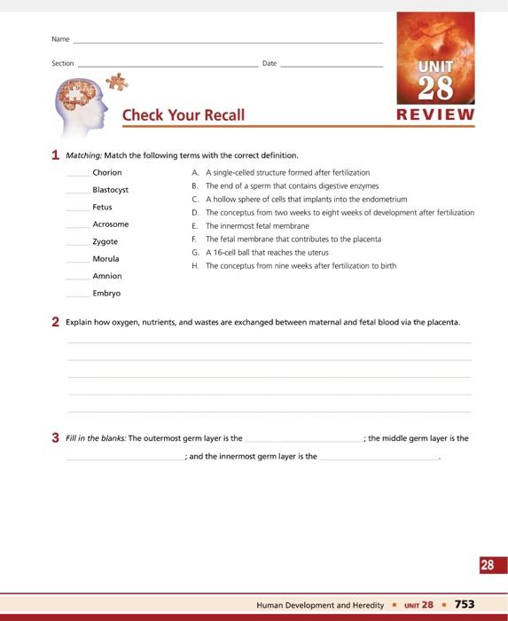 Solved Name Section Date UNIT 28 REVIEW Check Your Recall 1 | Chegg.com