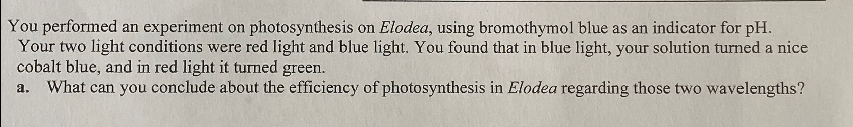 Solved You performed an experiment on photosynthesis on | Chegg.com
