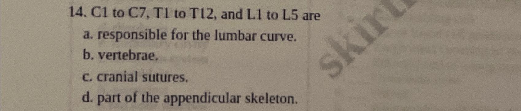 Solved C1 ﻿to C7,T1 ﻿to T12, ﻿and L1 ﻿to L5 ﻿area. | Chegg.com