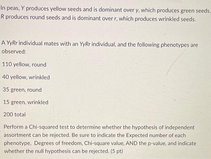 Solved In peas, y produces yellow seeds and is dominant over | Chegg.com