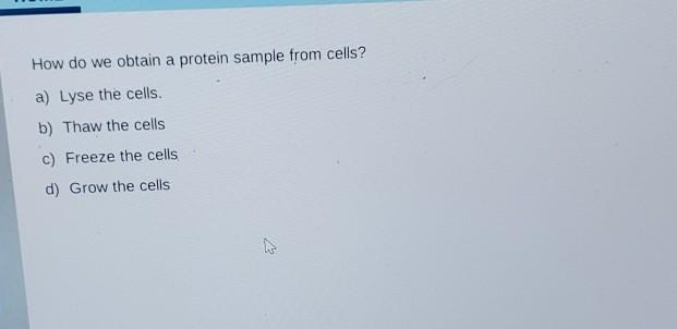 Solved How do we obtain a protein sample from cells?a) ﻿Lyse | Chegg.com