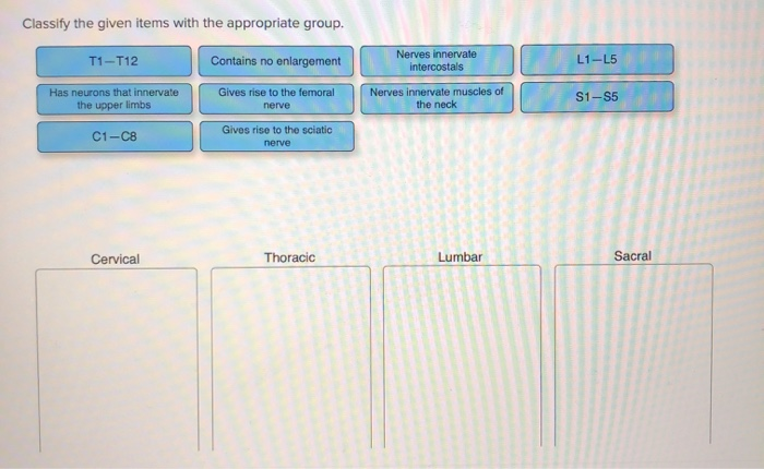 Solved Classify the given items with the appropriate group. | Chegg.com Solved Classify the given items with the appropriate group. | Chegg.com