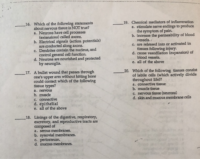 Solved -16. Which of the following statements about nervous | Chegg.com