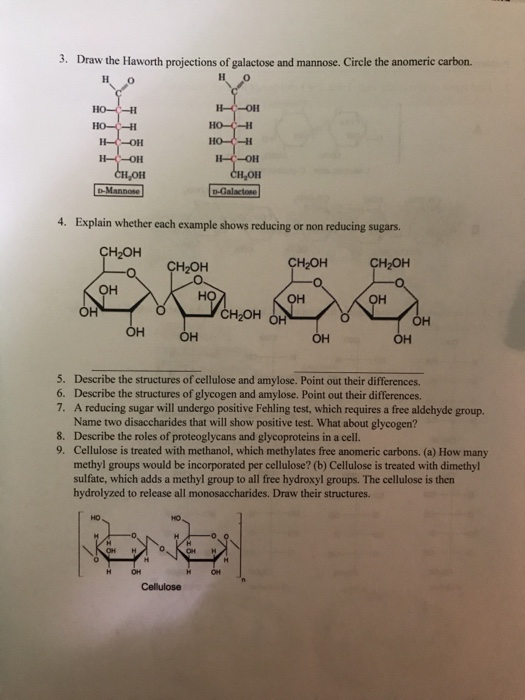 Solved 3. Draw the Haworth projections of galactose and | Chegg.com